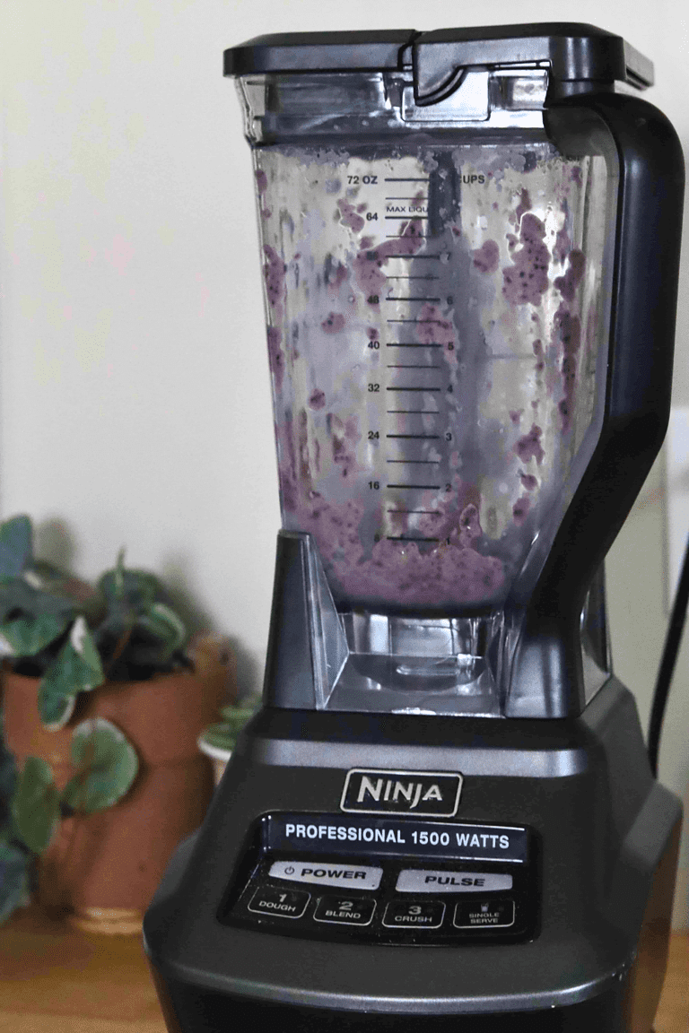 How to Clean a Ninja Blender (The Simple Way) - Simplicity and a Starter
