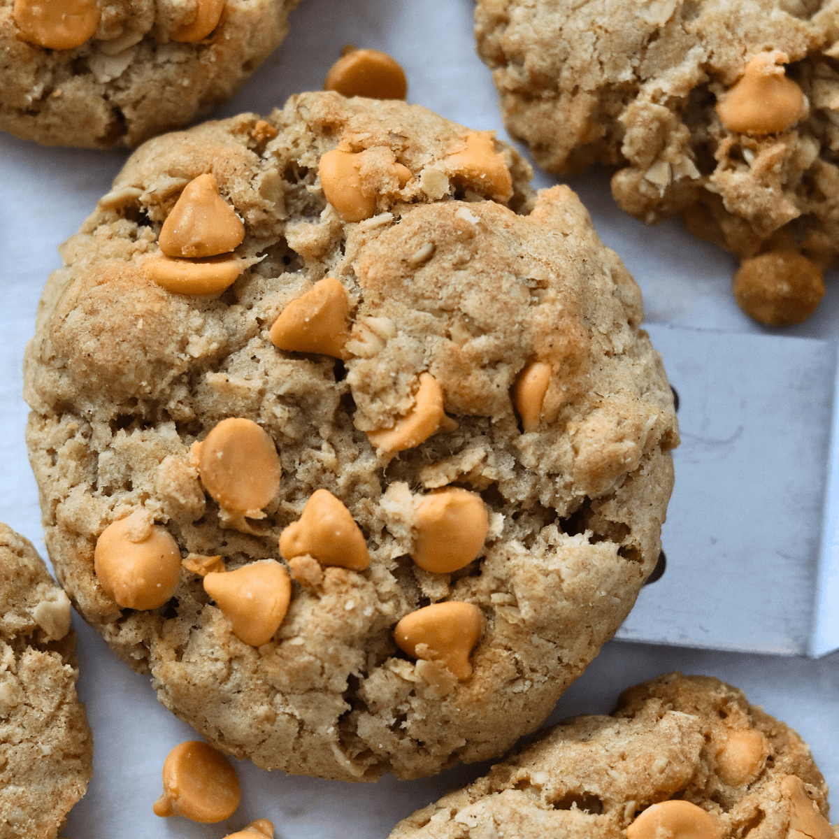 Sourdough Oatmeal Butterscotch Cookies Recipe - Simplicity and a Starter
