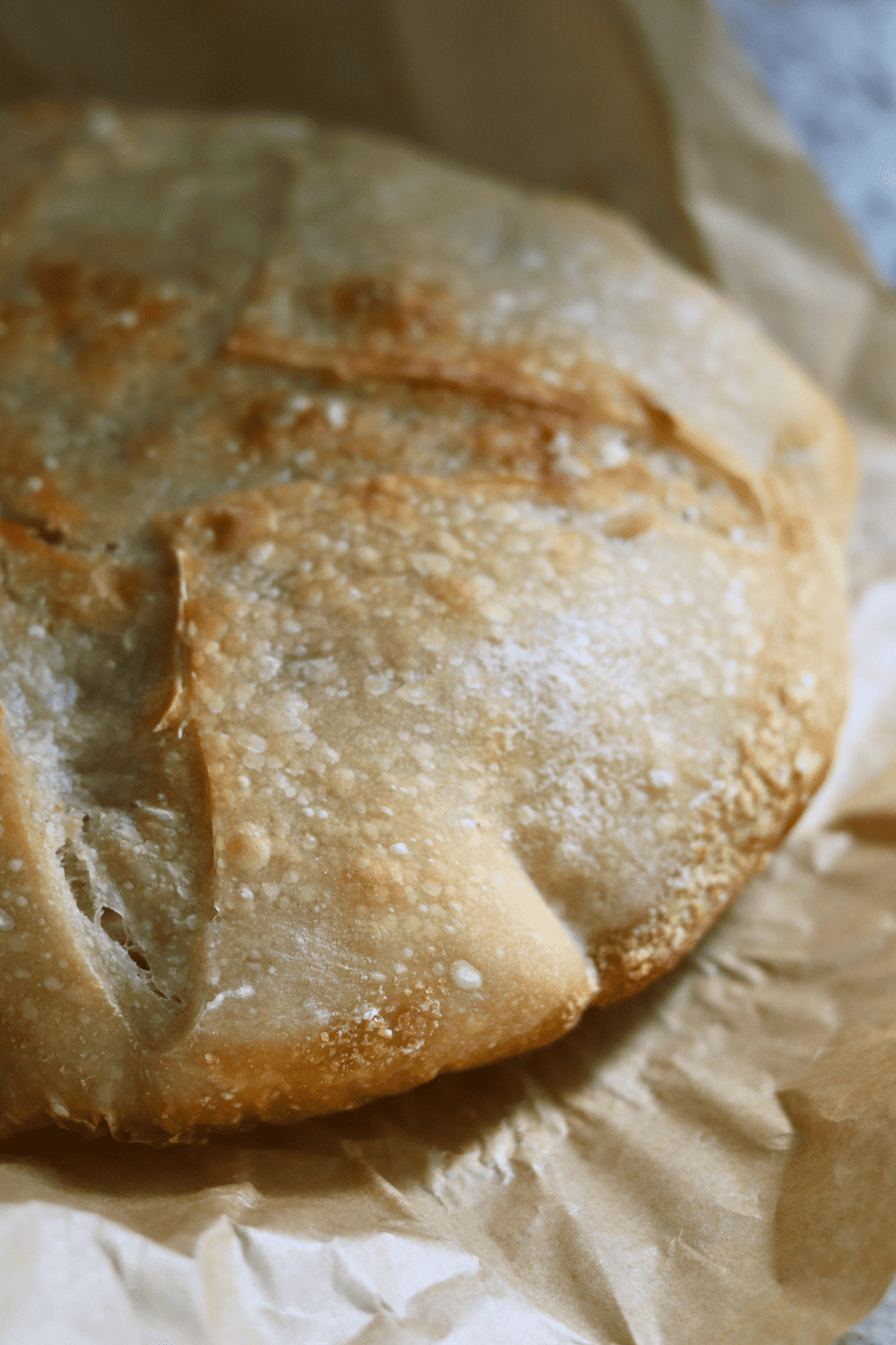 What Does OverProofed Sourdough Bread Look Like? - Simplicity and a Starter