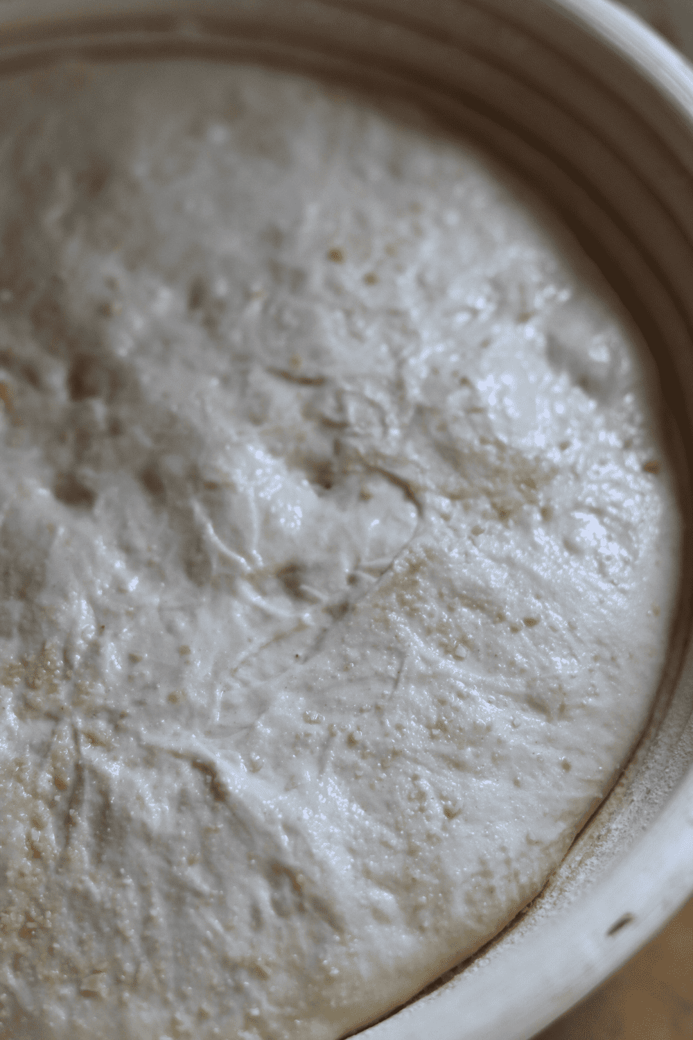 What Does OverProofed Sourdough Bread Look Like? - Simplicity and a Starter