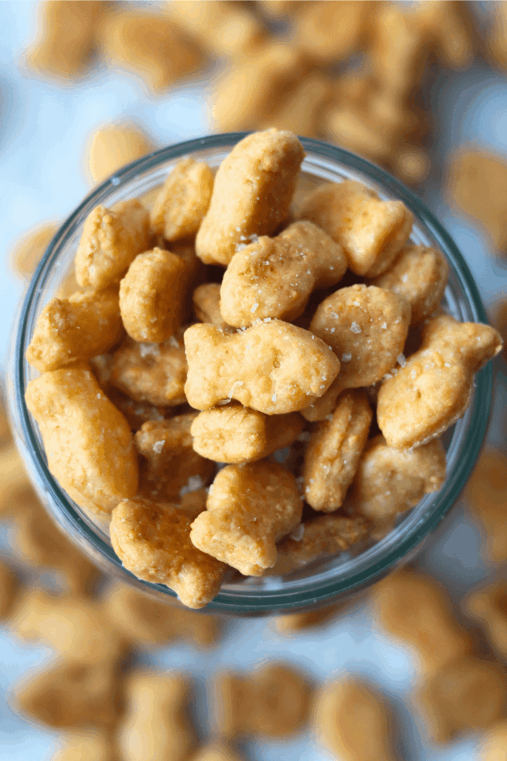 Cheesy Cheddar Sourdough Goldfish Crackers {Discard Recipe ...