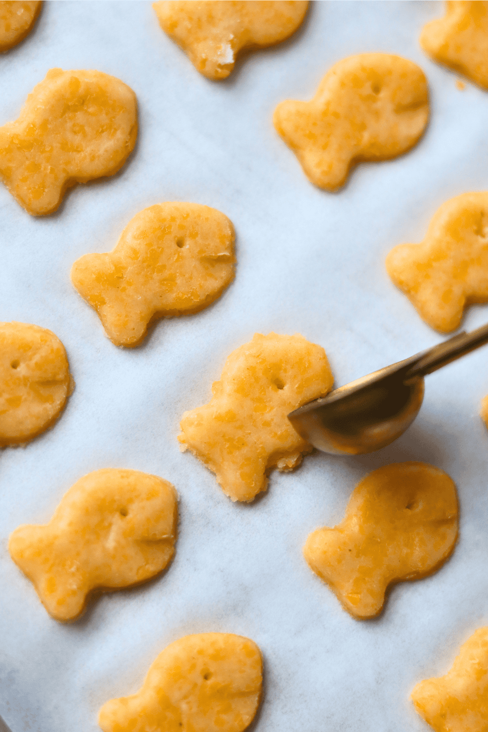 Cheesy Cheddar Sourdough Goldfish Crackers {Discard Recipe ...