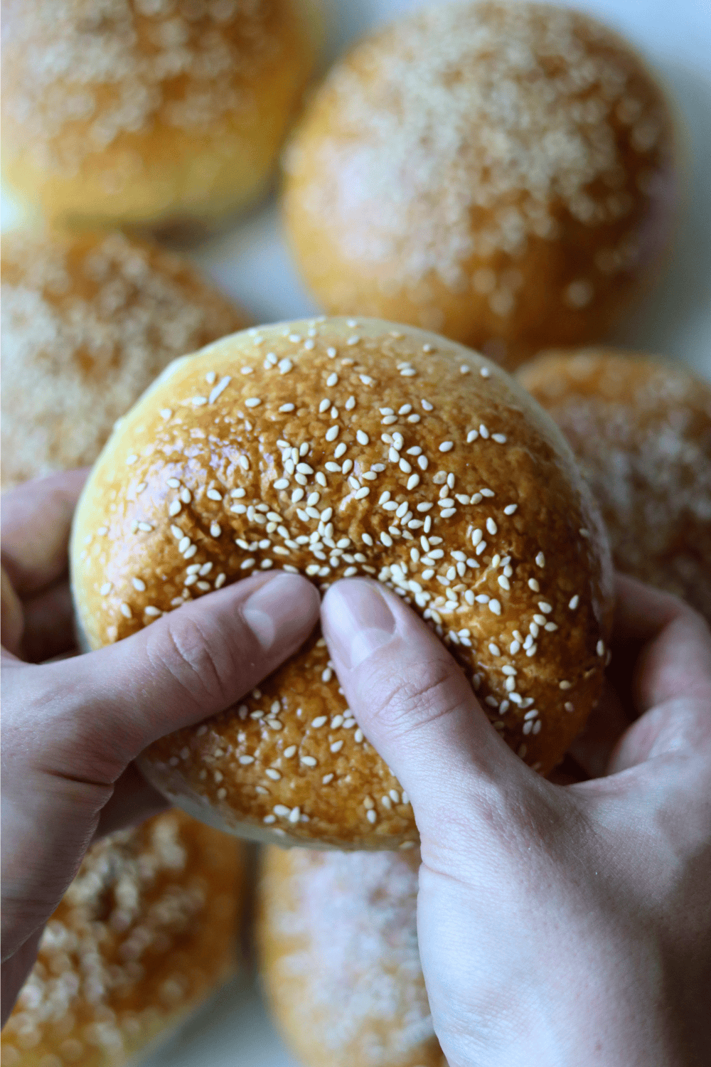 Easy Sourdough Burger Buns (Same-Day Recipe!) - Simplicity and a Starter