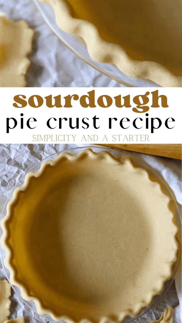 Simple Sourdough Discard Pie Crust Recipe - Simplicity and a Starter