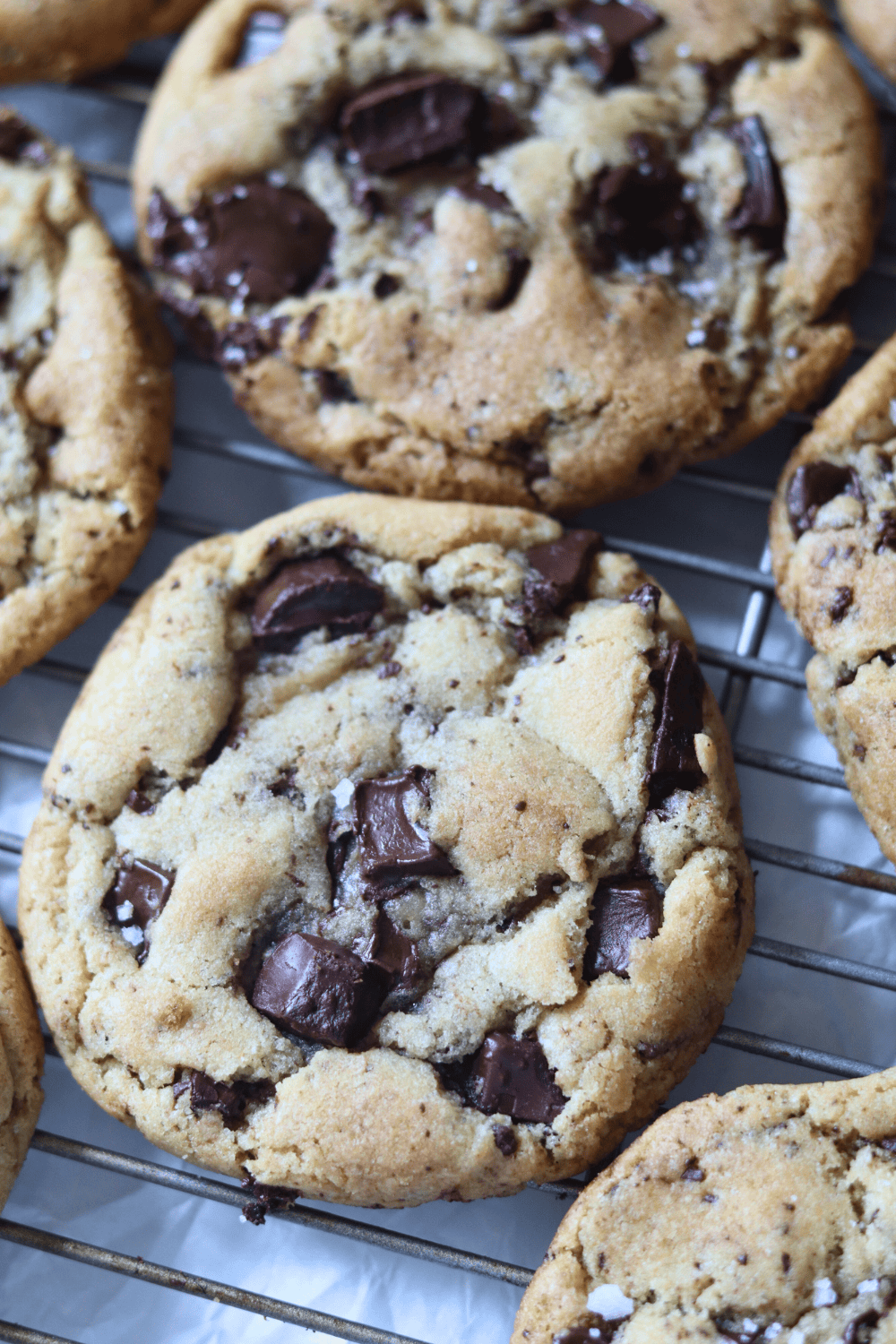 The Best Chewy Sourdough Chocolate Chip Cookies - Simplicity and a Starter