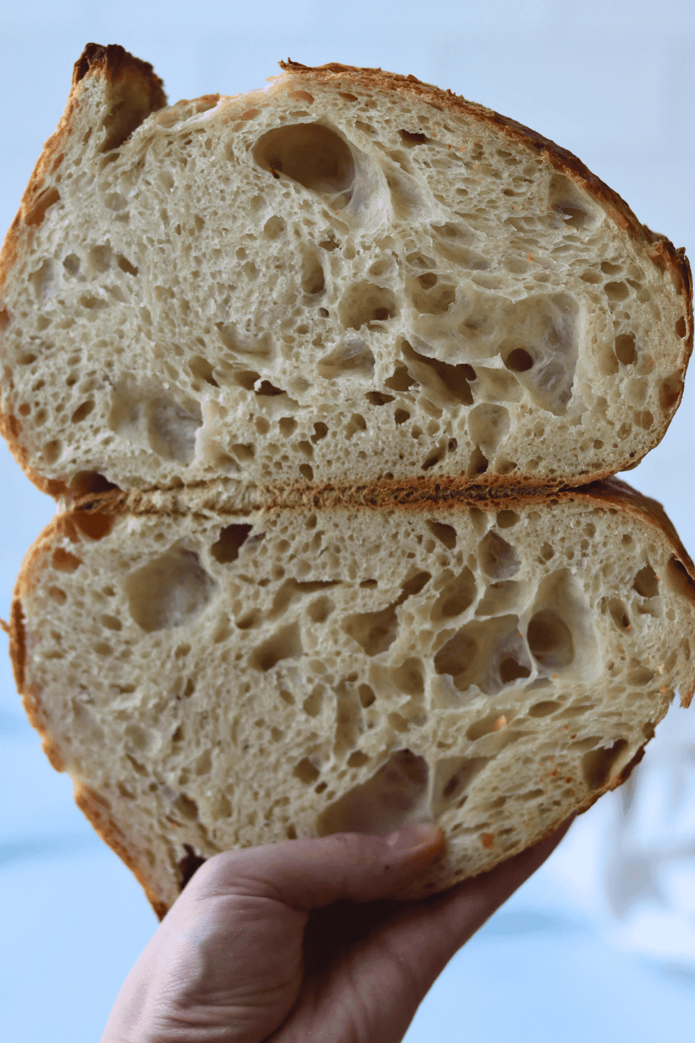 Identifying Underproofed Sourdough Bread (with examples) - Simplicity ...