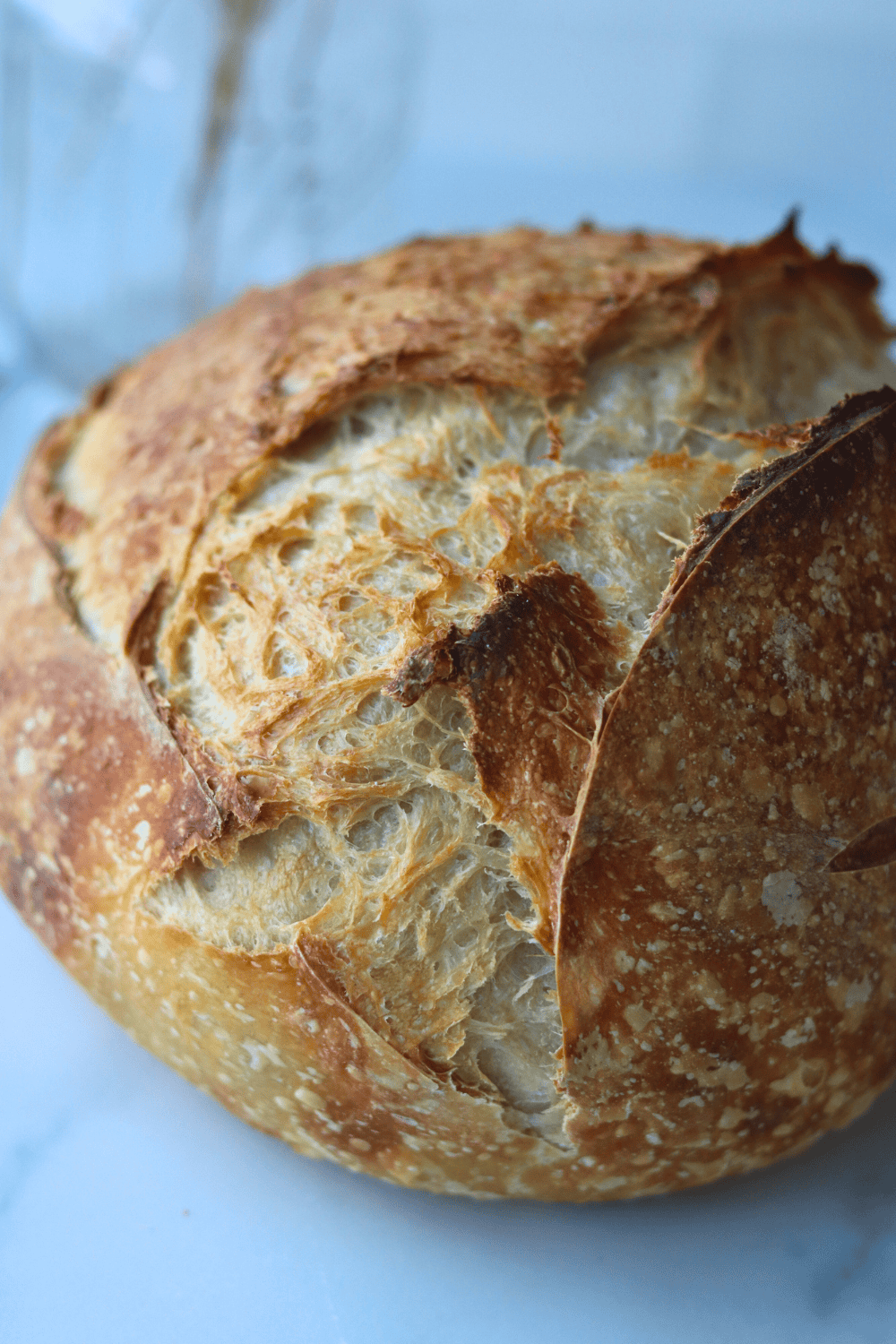 Identifying Underproofed Sourdough Bread (with examples) - Simplicity ...
