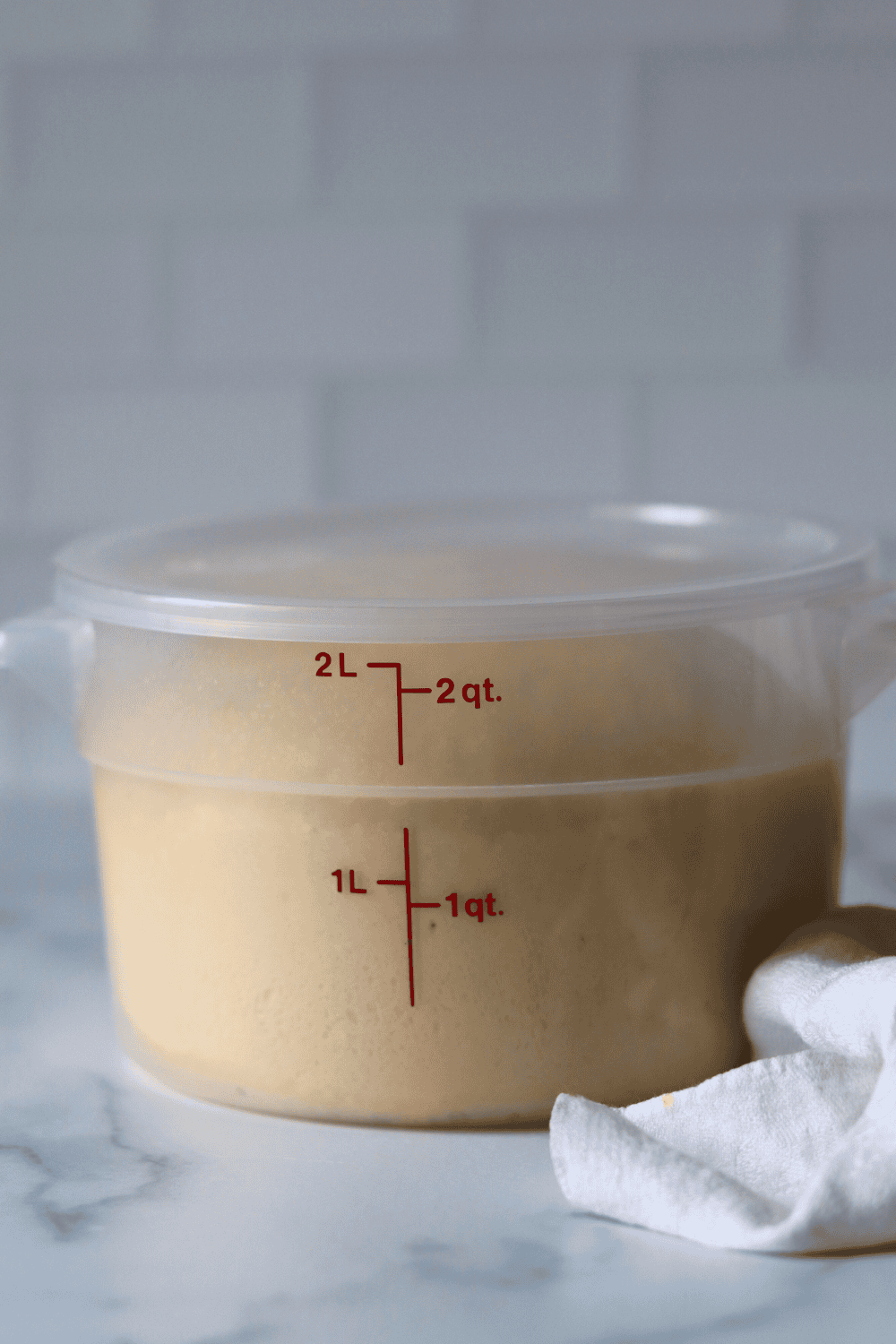 Sourdough Discard Burger Buns {Easy Hamburger Recipe} - Simplicity and ...