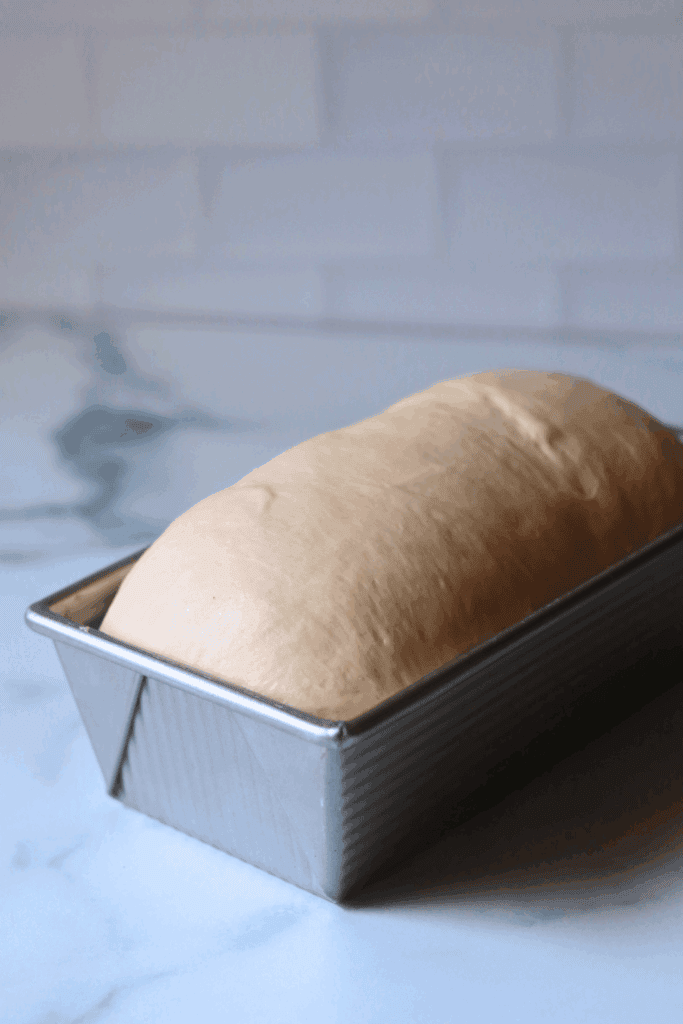 Easy Sourdough Discard Sandwich Bread Recipe - Simplicity and a Starter