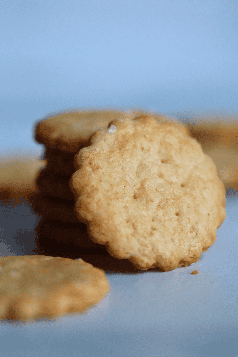 Sourdough Ritz Crackers Made With Active Starter or Discard ...