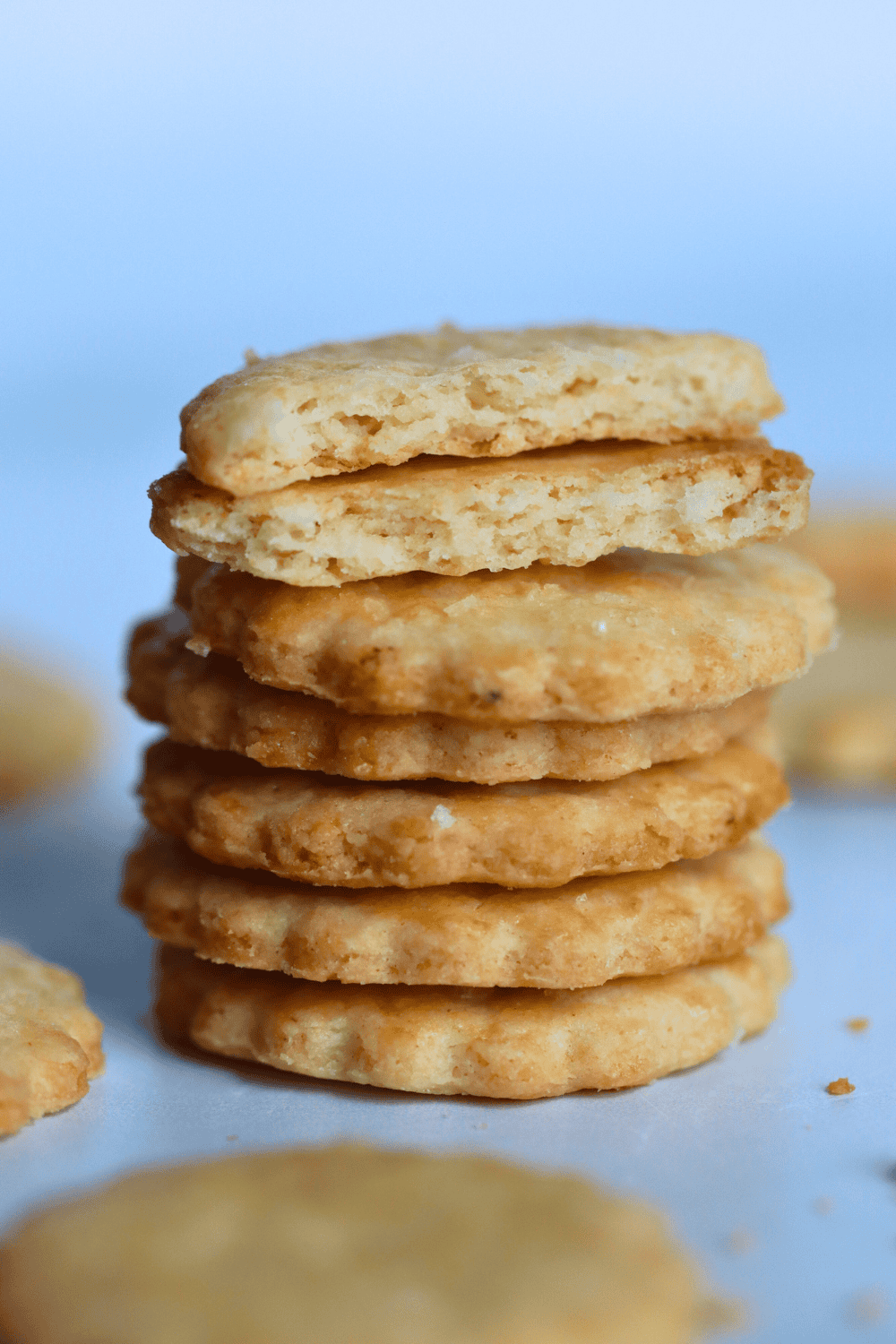 Sourdough Ritz Crackers Made With Active Starter or Discard ...