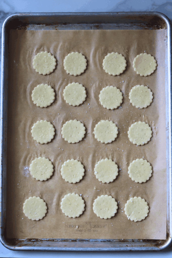 Sourdough Ritz Crackers Made With Active Starter or Discard ...