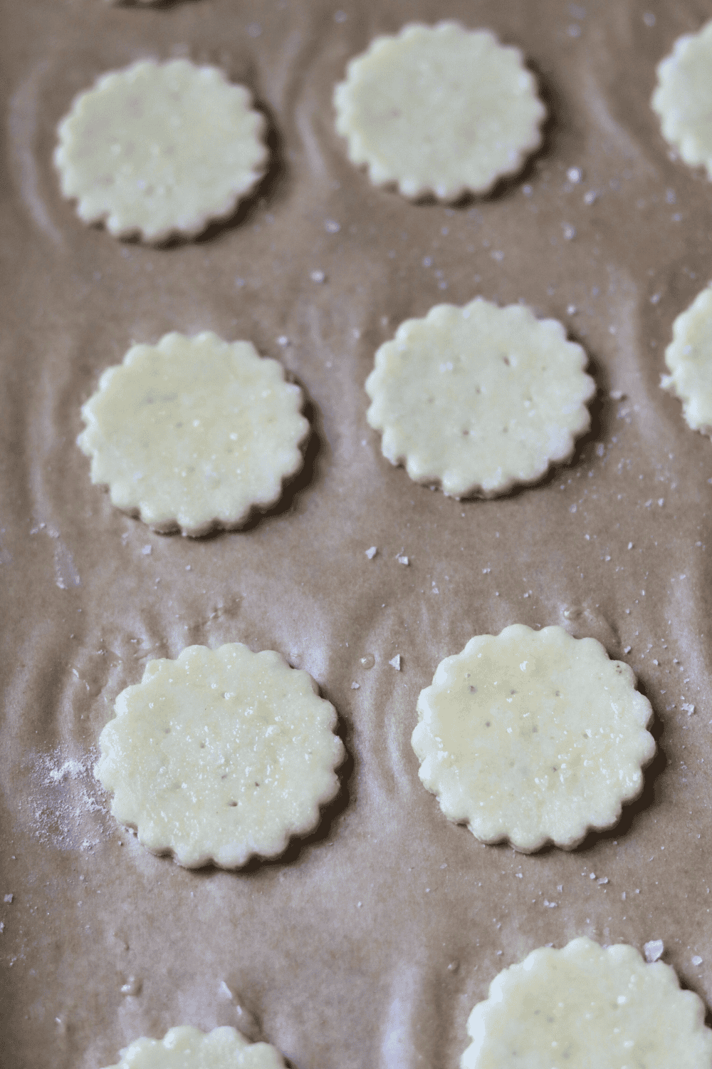 Sourdough Ritz Crackers Made With Active Starter or Discard ...