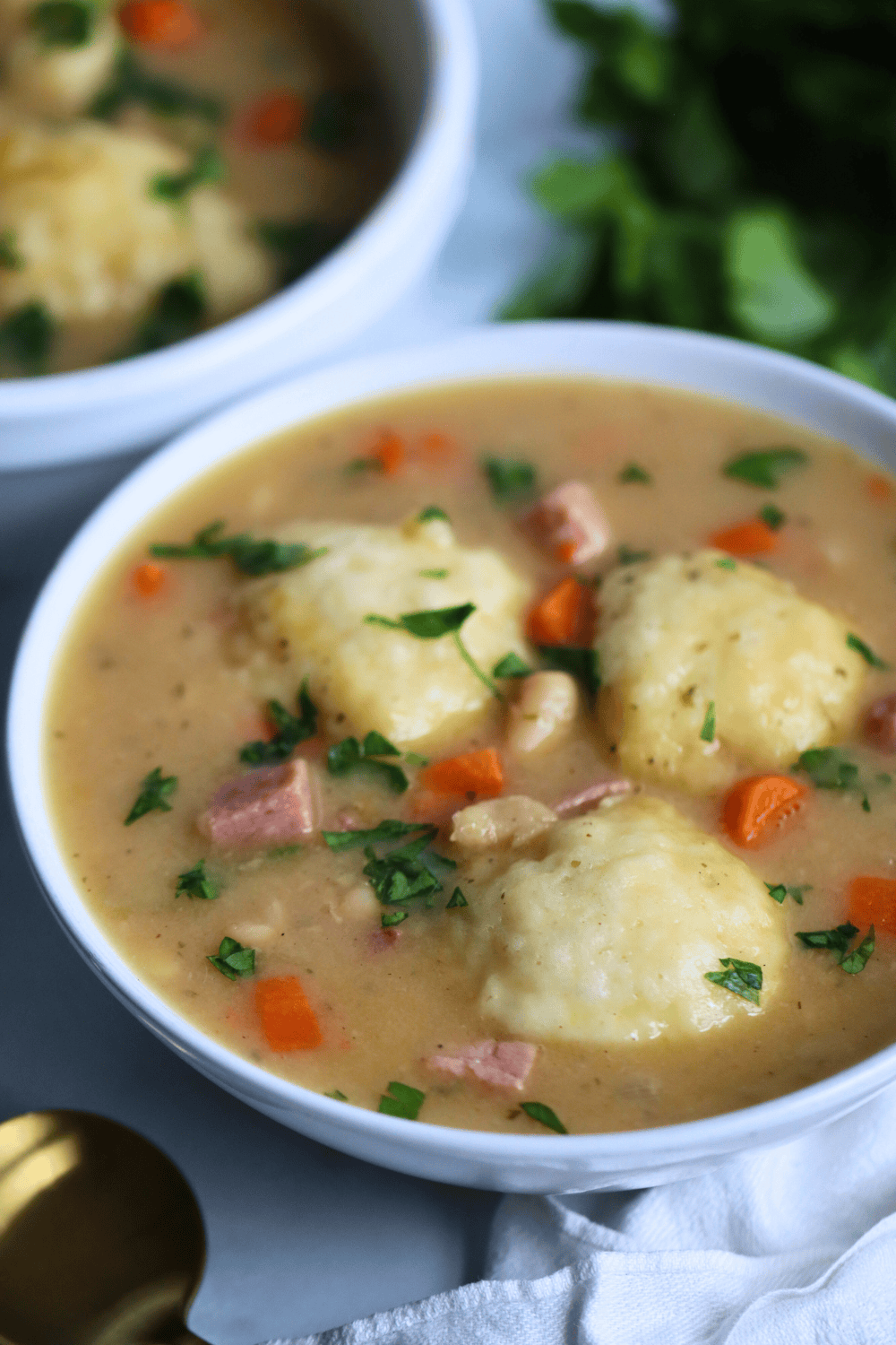Sourdough Ham & Bean Dumpling Soup (Tasty Comfort Meal) - Simplicity ...